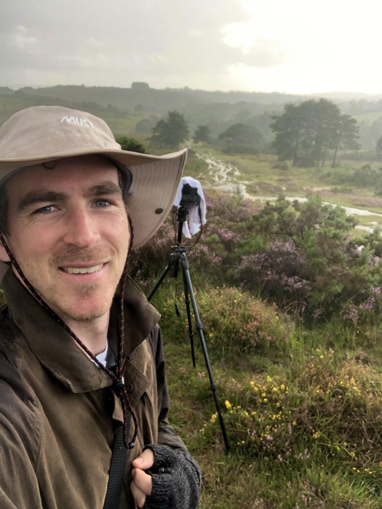 Visit an Exhibition of Stunning Images of the Iconic Ashdown Forest ...